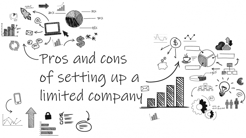 Pros and cons if you are considering starting a limited company