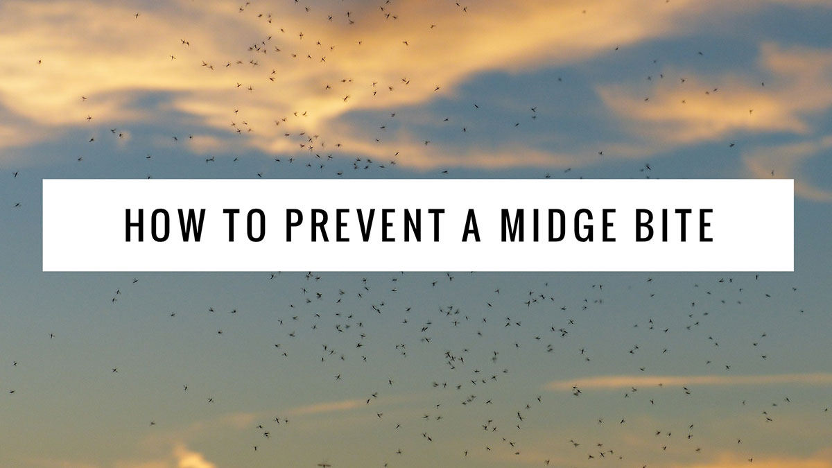 How to protect yourself against the midges in Scotland | Vegan Adventurist