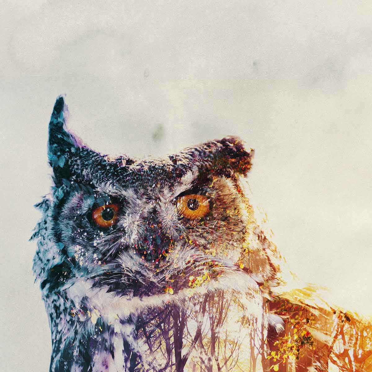 Mesmerizing Double Exposure Animal Portraits by Andreas Lie [Gallery]