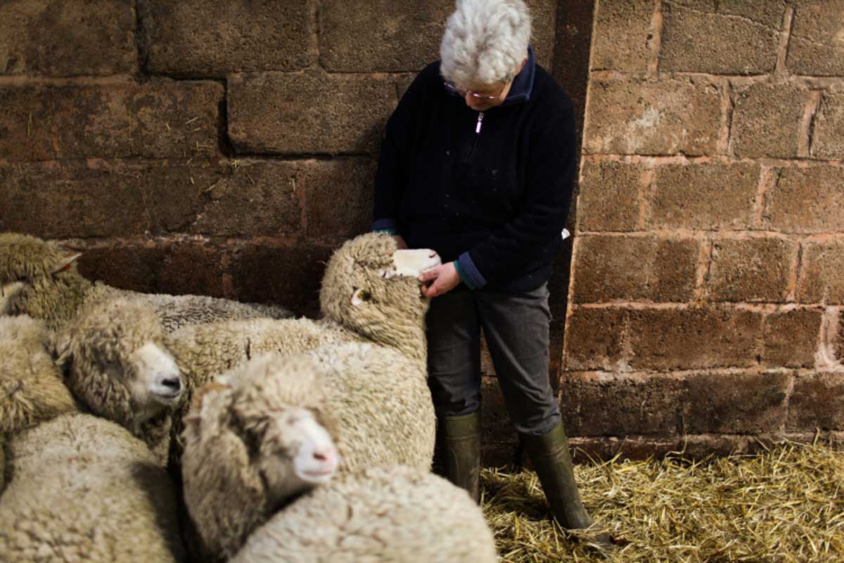 A chat with UK surf brand, Finisterre, Product Director—Debbie Luffman