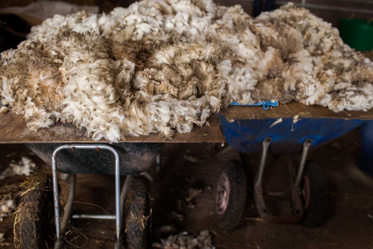 A chat with UK surf brand, Finisterre, Product Director—Debbie Luffman