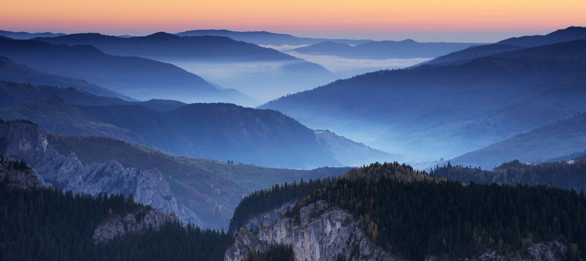 Rewilding project plans to bring a wildlife safari experience to Europe