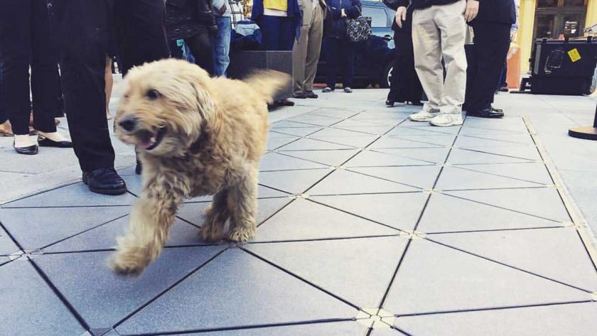 This floor generates renewable electricity with every step