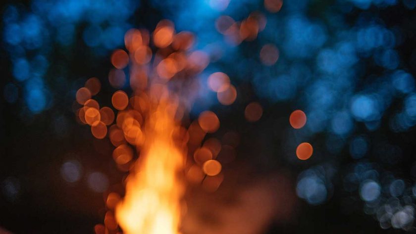 The best wood to use as firewood in a campfire