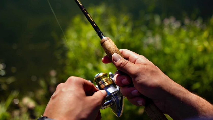 6 tips to help you become a successful fisherman
