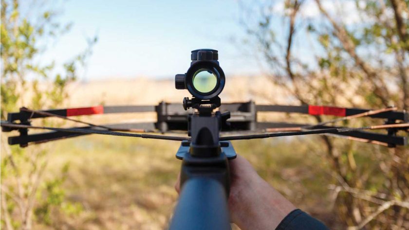 How to choose the right crossbow for you: A beginner’s guide