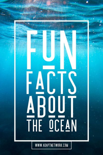 Exploring the deep blue: Fun facts about the ocean for kids