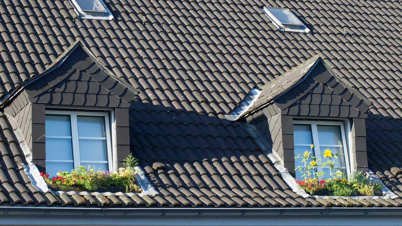 Building design features that increase wildlife biodiversity