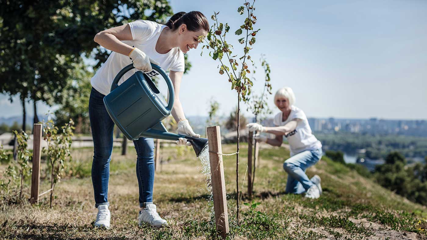 Seasonal service: Dino Rizzo explores church initiatives for spring