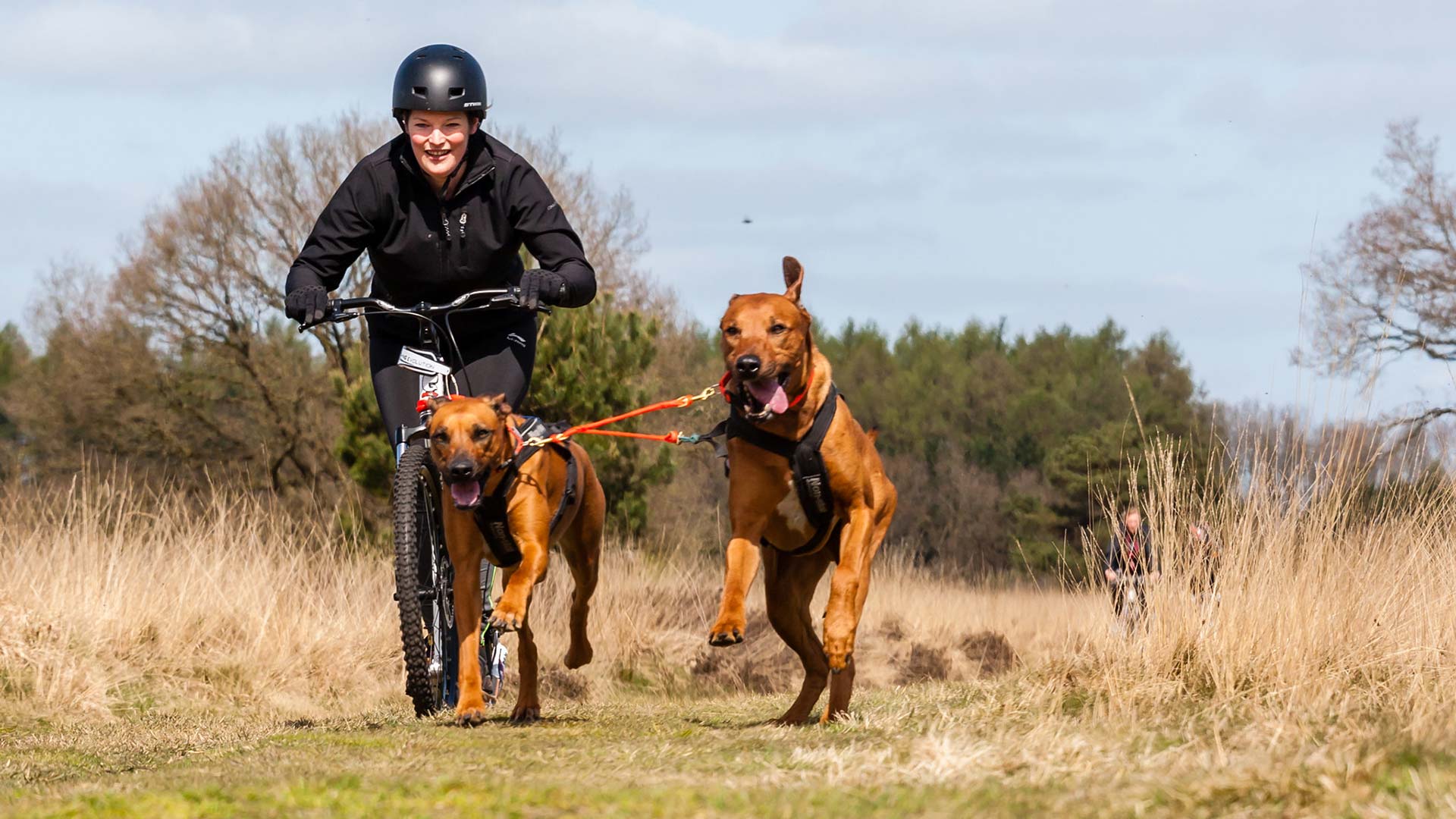 Dog-friendly workouts: Creative & fun ways to stay fit with your dog